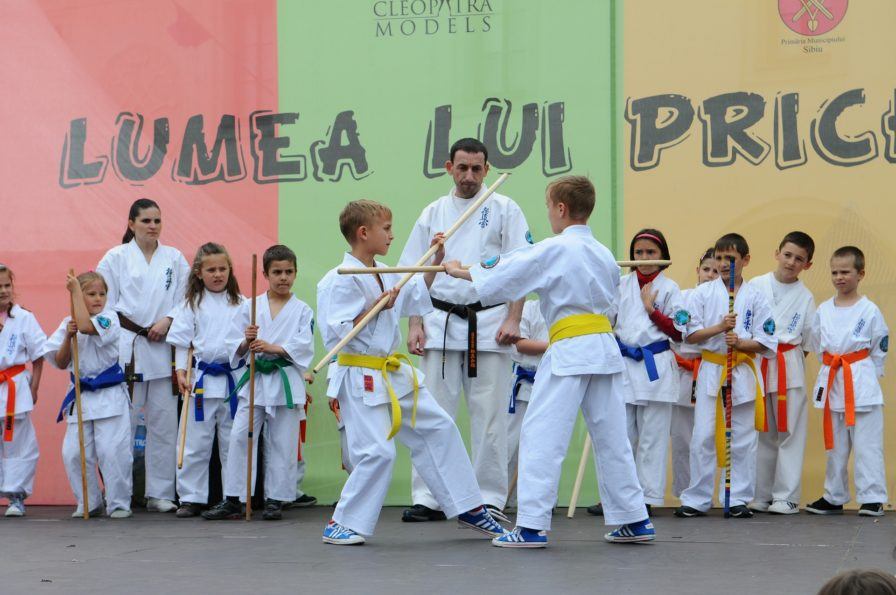 Check our Quick and Practical Guide on Karate Lessons!